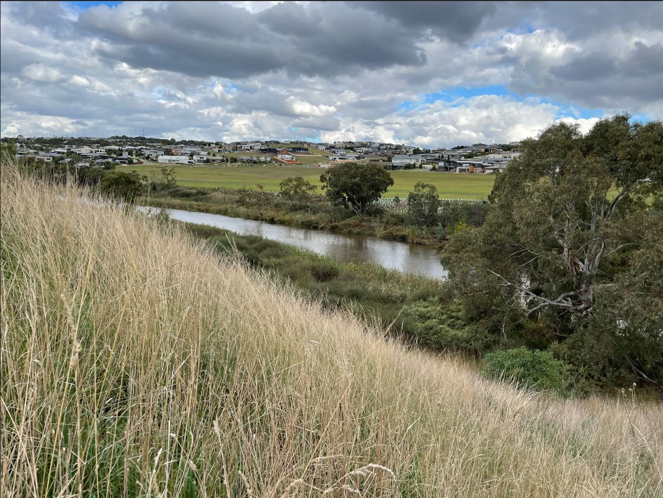 Barwon River Loop Trail | Planning for Geelong's Shared Trails | Have ...