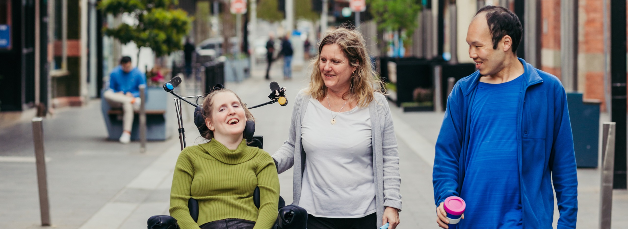 Disability Access and Inclusion Plan Survey | Disability Access and ...