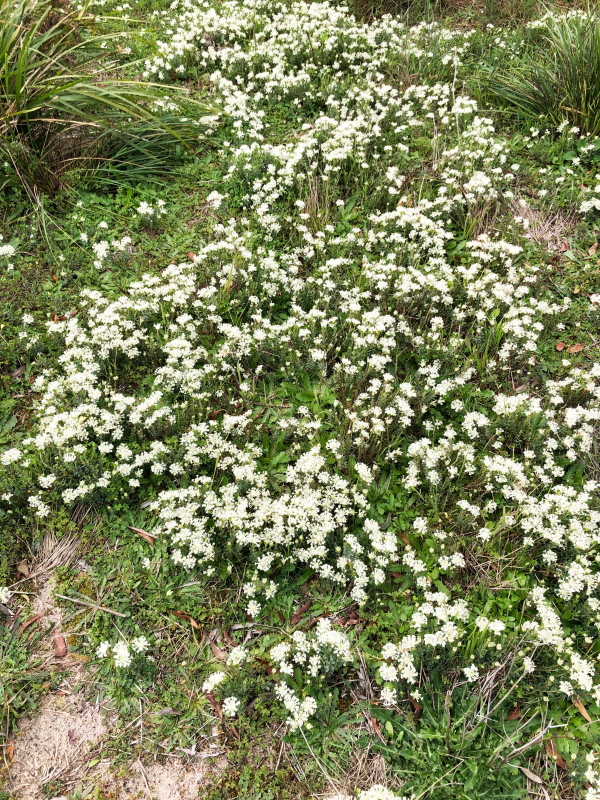 Share your nature image | Geelong's Plan for Nature | Have Your Say